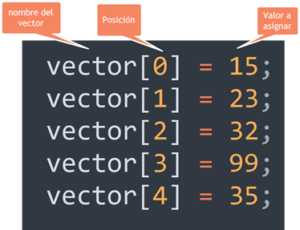 Declaración, inicialización y asignación de vectores en Java - TodoCode