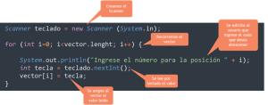 ⭐ Recorrido y Carga de vectores en Java - TodoCode